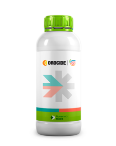 Productos destacados | Rovensa Next México