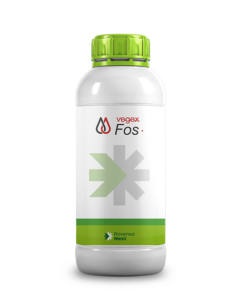 Vegex Fos | Rovensa Next México
